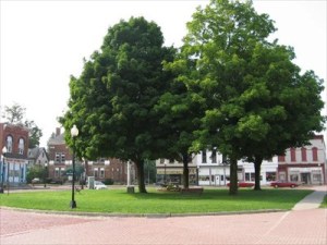 2026-62nd WNY Maple Festival – Historic Village of Franklinville, NY ...